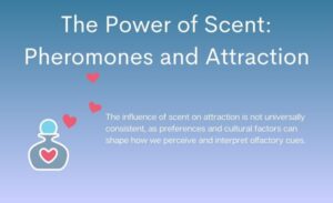 Factors Influencing Physical Attraction: Everything That Affects Attraction